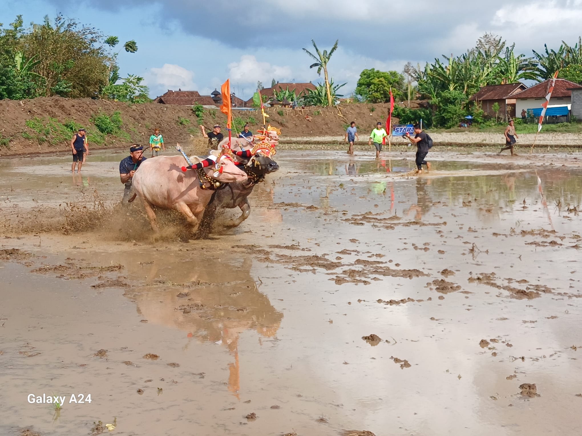 Makepung races – Rundung #Megae