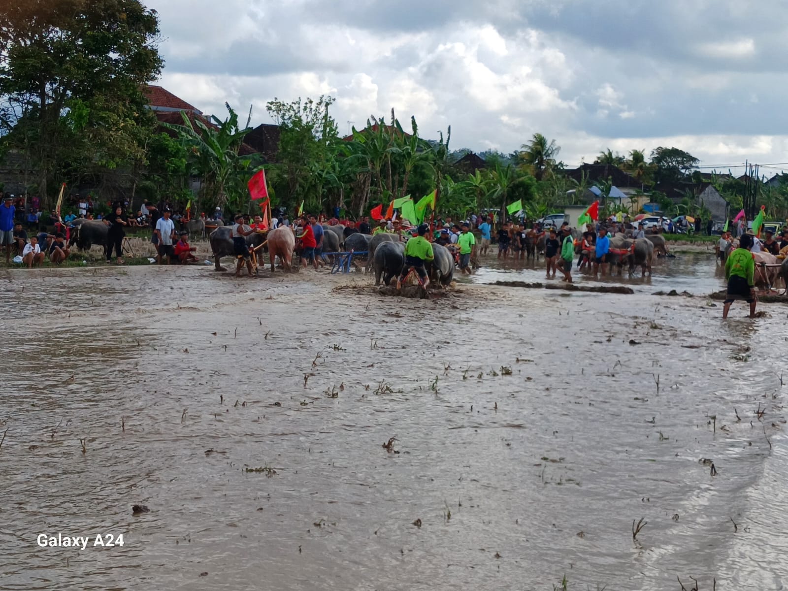 Makepung races – Rundung #Megae