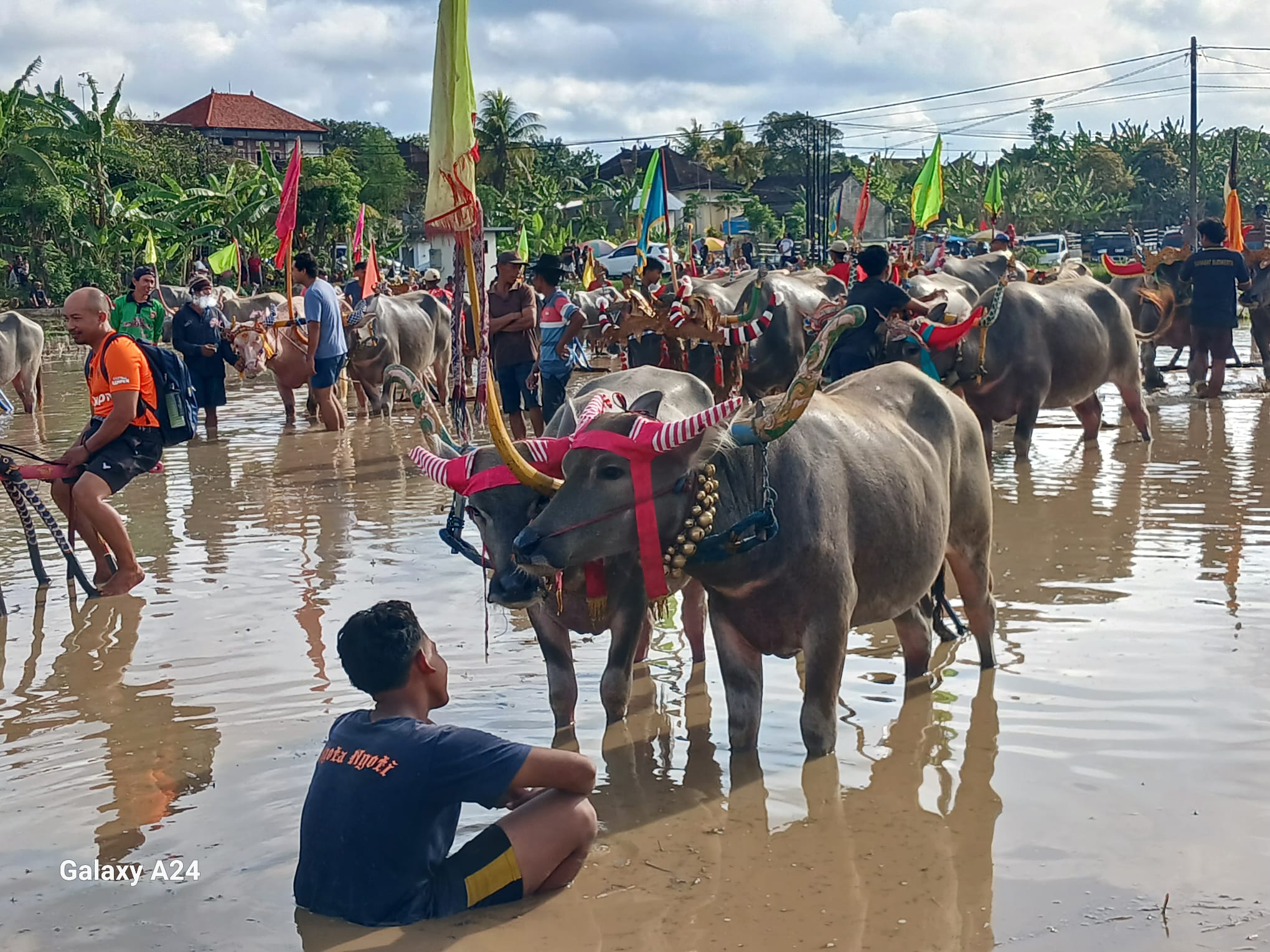 Makepung races – Rundung #Megae