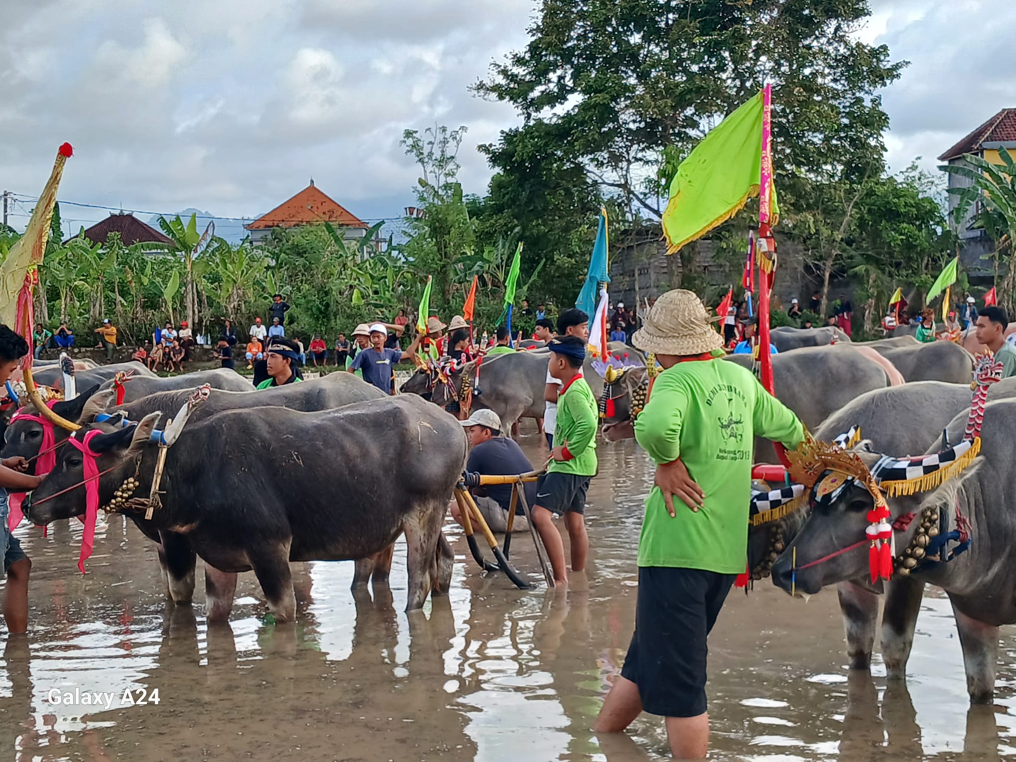 Makepung races – Rundung #Megae