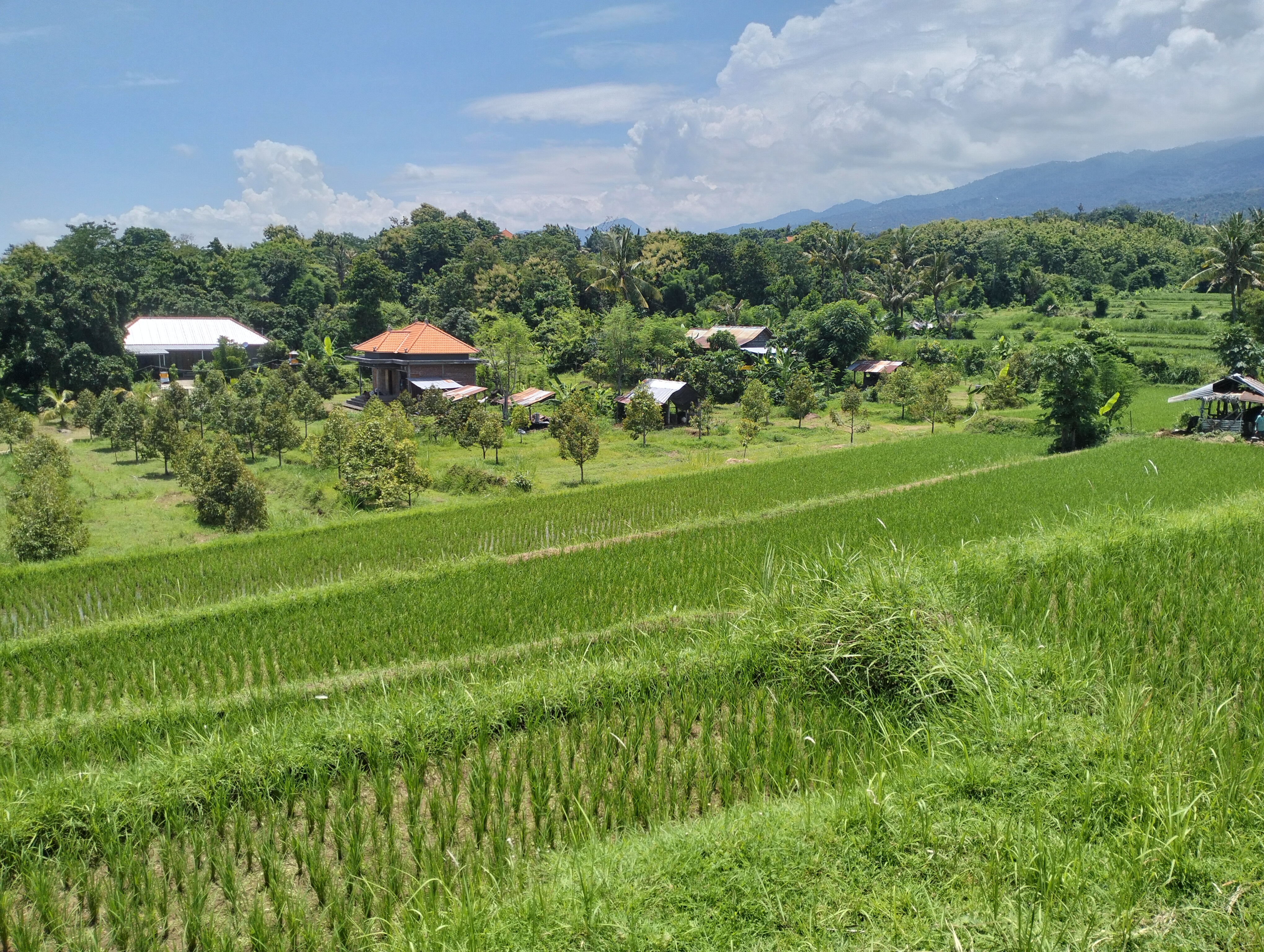 Kalibukbuk Kampung Walk – Rundung #Megae