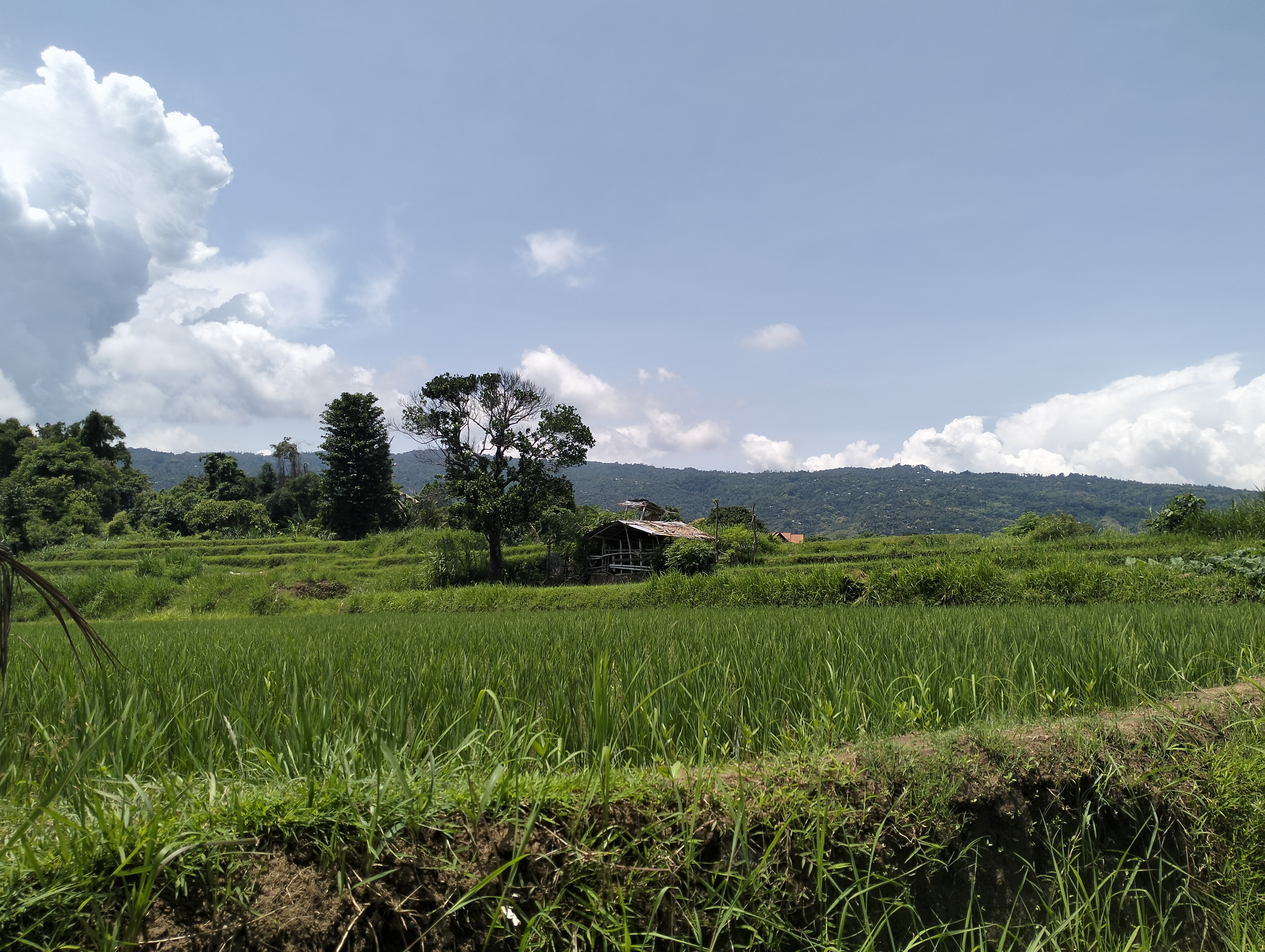 Kalibukbuk Kampung Walk – Rundung #Megae